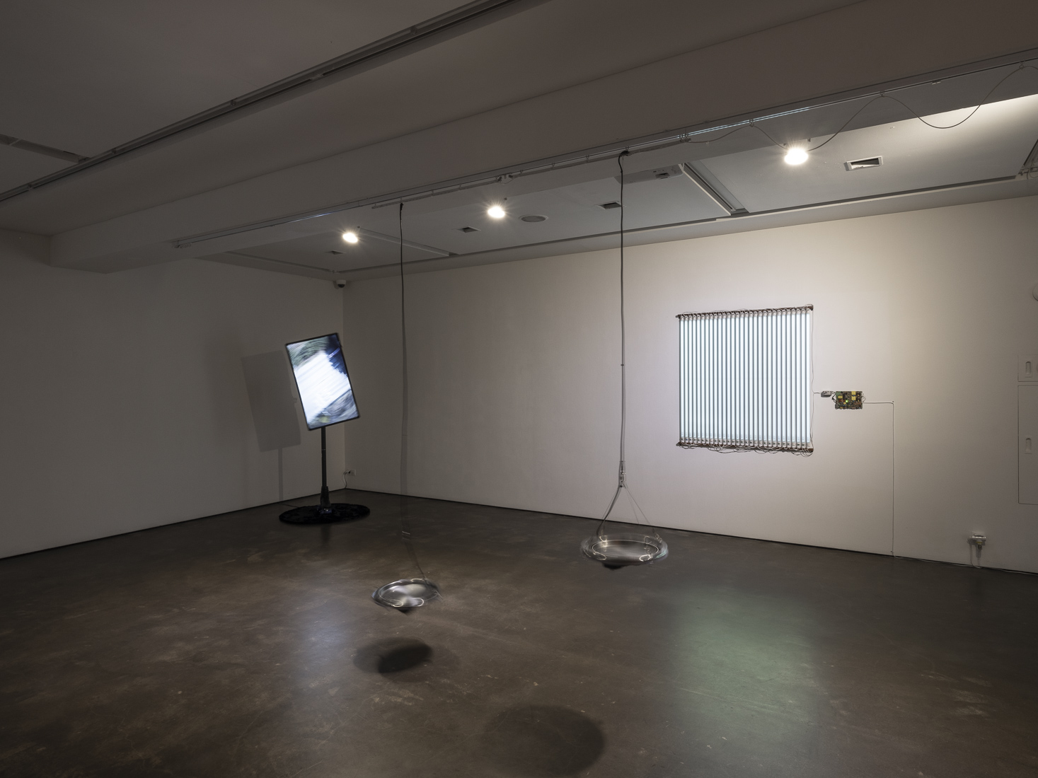 Linear expansion – Haena Cho