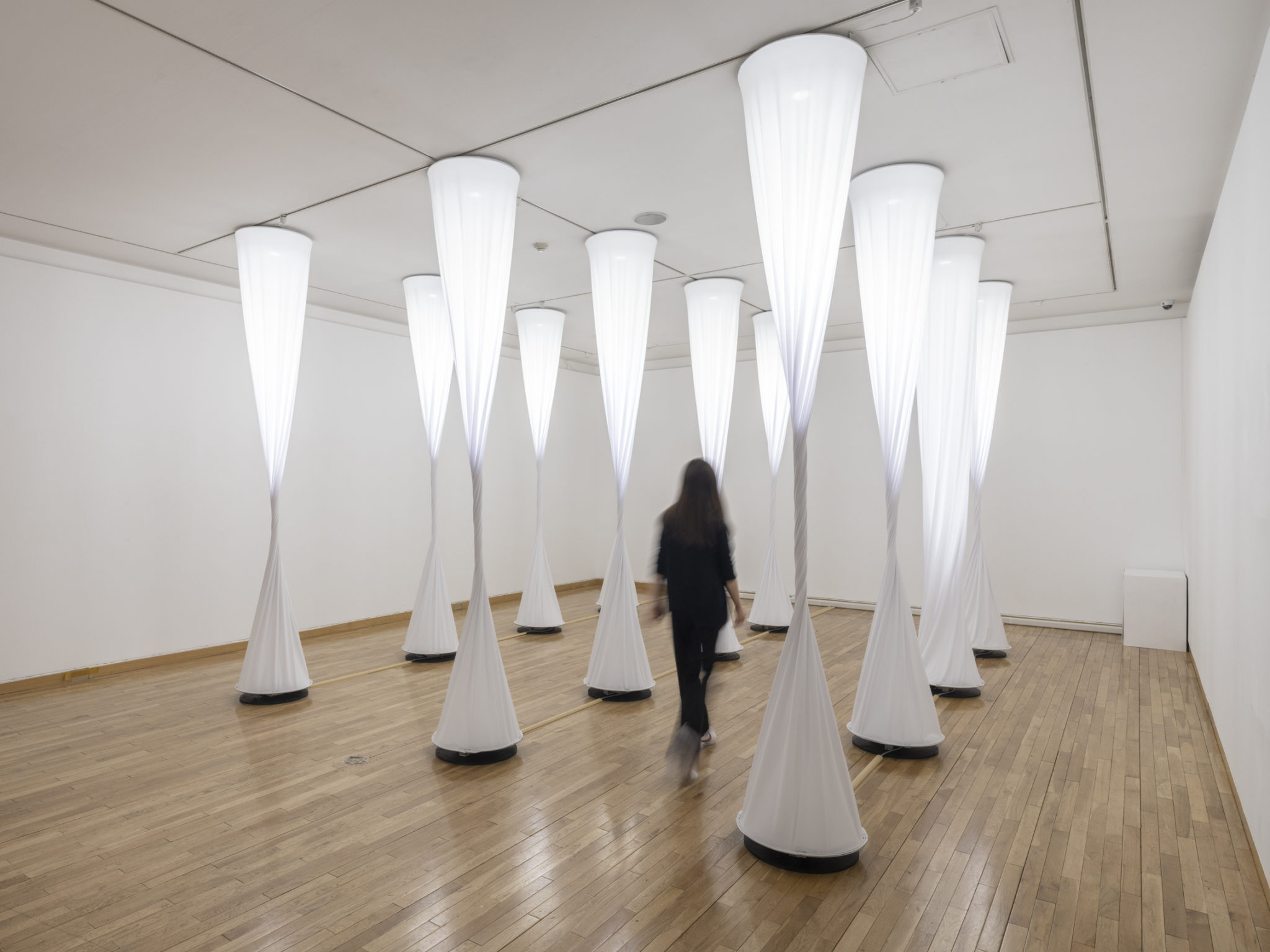 Meridian – Haena Cho